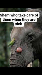 #videoviralシ | Rita Magetsi