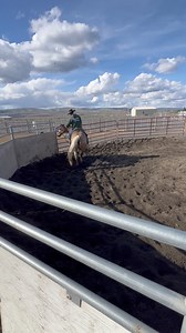 658K views · 10K reactions | Cinder isn’t quite out of the woods. But...