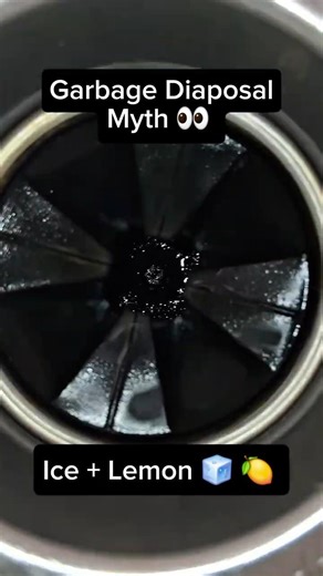 Garbage disposal ice & lemon myth explained 🧊🍋