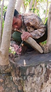 11K views · 101 reactions | Easy Creative traps #trap #survival #outdoors #forest #skills #camping #tips #challenge #trap #skills #reels #hunting #alamliar #fores #nature #wildlife #photography #ontario #trav | Trap F. Forest | Facebook