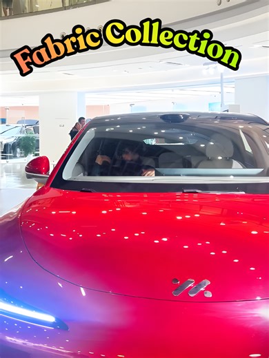 I am Chosing New Car | Pearl Embroidery Fabric Design Our shop is located in Shaoxing City, China, a famous place for textile and fabric production. We provide high quality pearl embroidery fabric and custom designs for customers worldwide. For further information, please contact us on WhatsApp and WeChat 📞 8613567546004 #newcar #carvlog #pearlembroidery