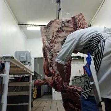 Processing a large beef front quarter.
