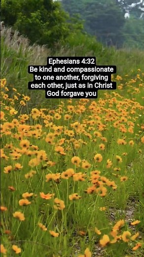 Kind and Compassionate | Forgive Freely #bibleverse #kindness #compassion #forgiveness #god #jesus