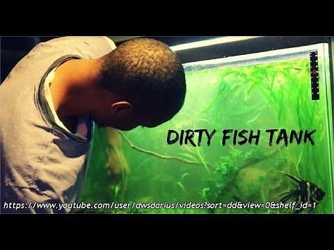 Cleaning A Dirty Fish Tank