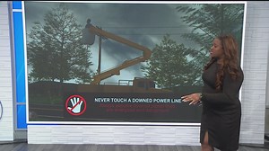 Downed powerline safety