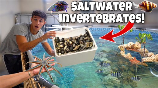 100+ new creatures for my 3000 gallon saltwater pond!