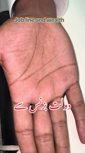 Job line and wealth #financialadvisor #job #business #banking #palmistry #palmist | Yousaf Palmist
