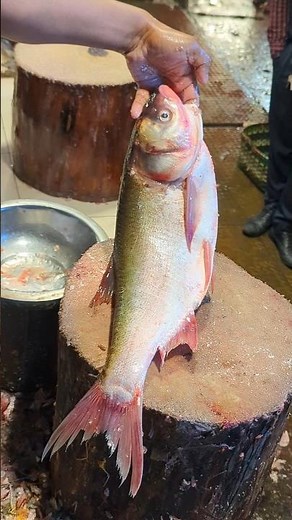 Excellent Cutting Skills | Big Silver Carp Fish Cutting By Expert Fish Cutter