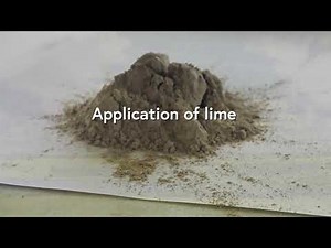 Clubroot Management: Summary