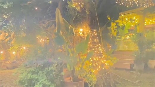 42K views · 407 reactions | Overflowing Natural Fresh Water in Tambulig Mountain Spring Resort The Swimming Pools The Pond and The Botanical Garden | OneTV Philippines | Facebook