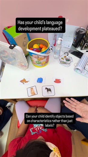 Listener Responding by Feature, Function, and Class (LRFFC) is a crucial ABA skill that teaches children to identify objects based on characteristics rather than just labels, moving beyond simple naming to functional understanding. It strengthens receptive language, categorization, and problem-solving by linking items to their purpose (function), appearance (feature), or group (class), essential for daily communication and cognitive development. At ABLE UK we level up once the child has started 