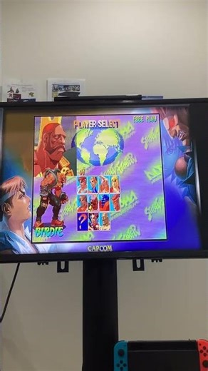 Street Fighter Alpha - Characters