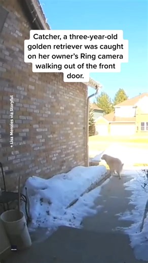 21K views · 233 reactions | Talk about customer service!  | Worcester Telegram & Gazette | Facebook