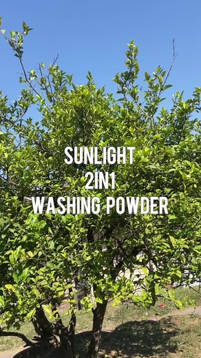 Testing Sunlight 2in1 Washing Powder: Clean, Foaming, Fragrant!