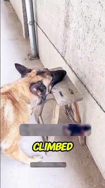 The Jump No One Expected 😯