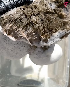 54K views · 56 reactions | Easter Bunny Gets a Wash | Tips & Tricks | Facebook