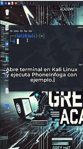 Descubre PhoneInfoga: Transformación Numérica Completa