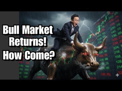 Bull Run returns to Stock Markets! This is Why!