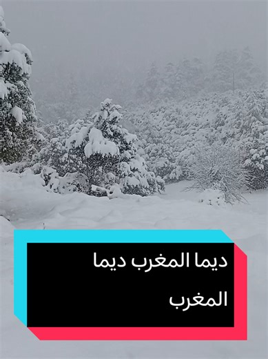 ديما المغرب ديما المغرب ديما المغرب ديما المغرب ديما المغرب ديما المغرب ديما المغرب #ثلوج #neiges