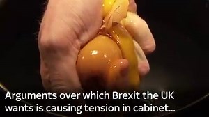 447K views · 637 reactions | What's the difference between Hard and Soft Brexit? Britain is leaving the EU, but what does that departure look like? Let these boiled eggs explain. | Sky News | Facebook