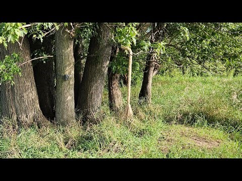 How to make a scrape rope for your mock scrapes. #deerhunting