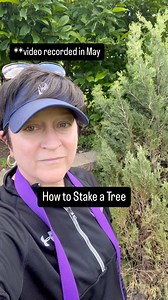 10K views · 181 reactions | In this video, my newly planted tree that...