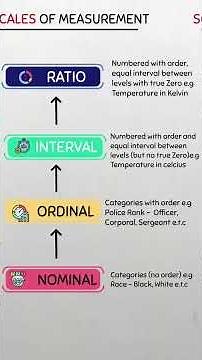 Master statistics: Your Essential Guide to Measurement Scales in Statistics