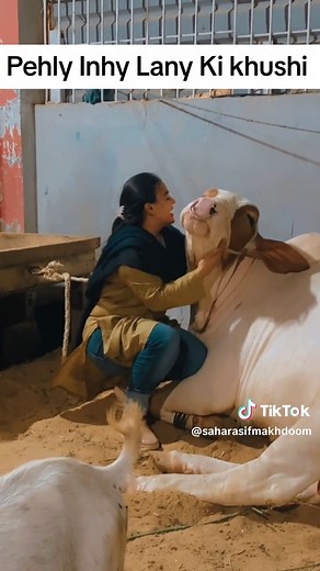 Pehly Inhy Lany Ki Khushi – Phir In Kay Jany Ka Ghum