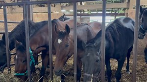 9.6K reactions · 3.3K shares | SIXTEEN REMAIN TO BE RESCUED FROM THE...