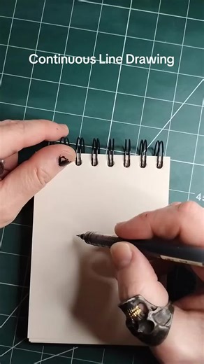 Continuous Line Drawing. Hi, everyone! I haven't done one of these in a while, so thought it'd make a fun post. I love continuous Line drawing exercises (sketching without taking the pen off the paper) because when you are sketching you are not thinking too much about it and becomes extremely loose and expressive. Enjoy! Jason x #sketchbook #continouslineart #pensketch #drawingexcercise