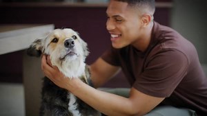 4.1K views · 37 reactions | It's time to start digging!  The newest innovation from Ancestry® is here. With Know Your Pet DNA by Ancestry, you can learn more about your dog's breed mix, traits, and matches, all in a single test kit brought to you by the DNA experts at Ancestry®. Get to know your best friend even better. What will you dig up? Learn more at https://bit.ly/3r4V5Vj | Ancestry | Facebook