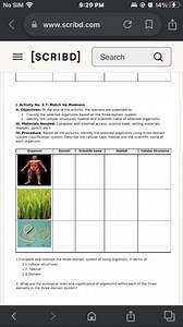 Match Up Madness ActivityObjectives:Classify the selected or... | Filo