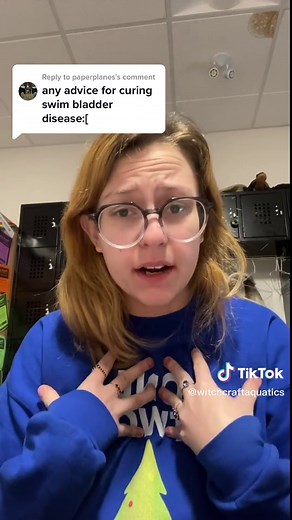 Understanding Swim Bladder Disease in Betta Fish