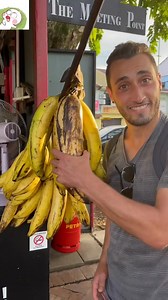 355K views · 9.4K reactions | Musa ingens ကမ္ဘာ့အကြီးဆုံးငှက်ပျောမျိုးစိတ်  #knowledge #reelsfypシ #fypviralシ #Myanmar #short | Kaung Kaung | Facebook