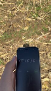 450 em 2 minutos a concorrência pira kkk Quantos sacos por segundo da??? | Baxero veioo