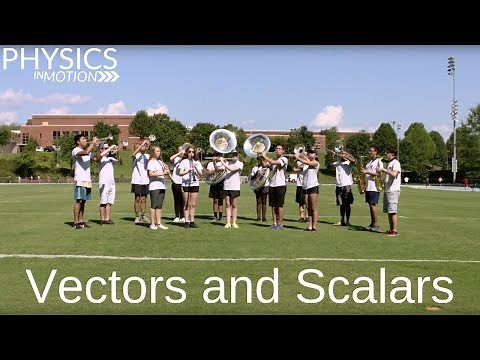 What Are Vectors and Scalars? | Physics in Motion