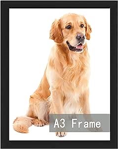 RUN HELIX A3 Picture Frame Black for Wall Hanging, Wall Mounting Horizontally or Vertically, 11.7 x 16.5 inch Wall Gallery Poster Photo Frame with Durable Shatter Resistant Plexiglass, Black