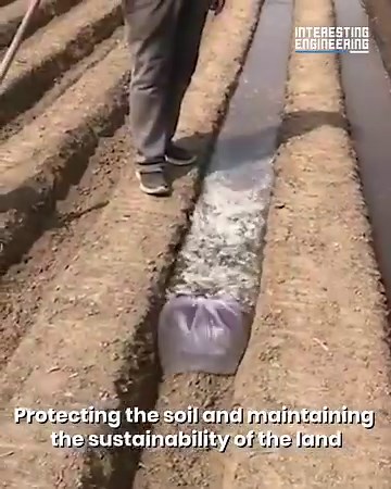 1.8M views · 1.3K reactions |  Stop soil erosion with this genius hack! Plastic bags filled with water are a great way to maintain the health and productivity of your land. ️Marcio Leão/ LI | Interesting Engineering | Facebook