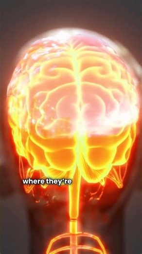 Perception? What Is Reality? #perception