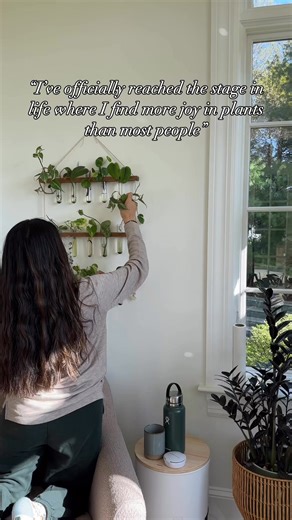 If I don’t get time with my plants and my garden each day, I get grumpy 🤣Plants and gardening are such a nice, easy way to slow down and unwind. It requires no screen time, you get your hands in soil, you observe new growth, and appreciate the beauty. What more could you need? Do you feel the same way?....#indoorhouseplants #plantcare #outdoorgardening #repotting | Reenasplants