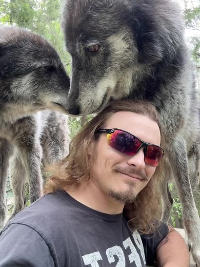 Interacting with Wolves in a Forested Setting