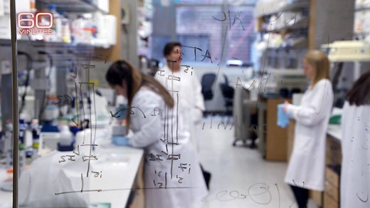 28K views · 505 reactions | “From the genetic information, it's clearly not an engineered virus,” says Dr. Elodie Ghedin about coronavirus, which she is studying at her NYC lab. Most experts believe the virus passed from animals to humans, perhaps in the wild animal market in Wuhan. https://cbsn.ws/3beMPUA | 60 Minutes | Facebook