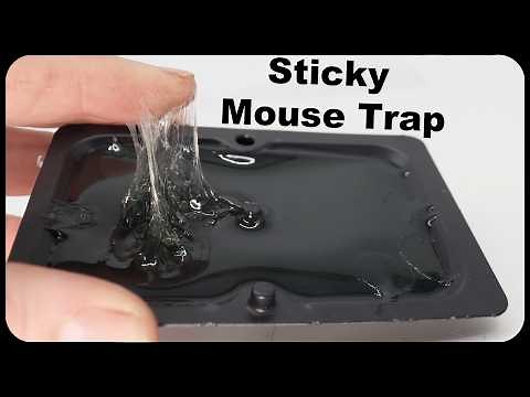 Why Are These The Most Popular Mouse Traps On Amazon? This seems like a scam. Mousetrap Monday.