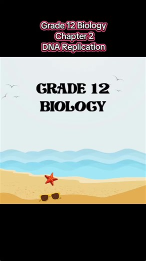 Grade 12 Biology: DNA Replication Explained