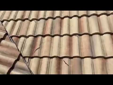 Insurance adjuster falls off roof unedited