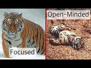 Analytical Thinking vs Creative Thinking