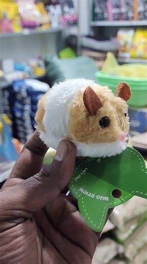 Welcome to RJ Pet Store. We Deal in all kinds of pet Accessories like All Pet foods , Pet Litters , Cat Houses , Tin Food , Treats , Calcium Tab... , Toys , cages , E-Colar , Shampoo and much more Address Shop # 246 , 1st floor , RJ Shopping Mall , Gulshan e Iqbal Near Millinnium Mall.Karachi... Cash On Dlvry Also Available. Karachi Waly Get Dlvry in 2hrs. For Delvry-whatsapp 0317-2199332 #petshop #pet #pets #dog #petlovers