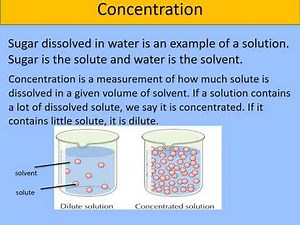 Year 7 Diffusion