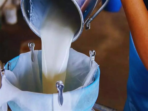 Is your milk safe? Know about coliform bacteria that is allegedly being linked to packaged milk