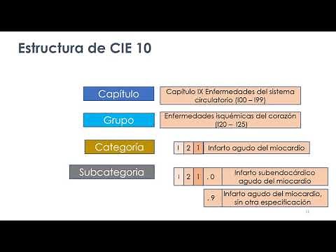 Utilización de la CIE-10: Volumen 1 Lista tabular
